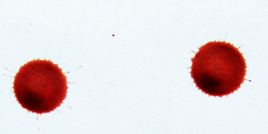 Chapter 4 - Forensic Science